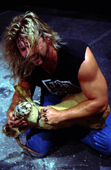 Al Snow